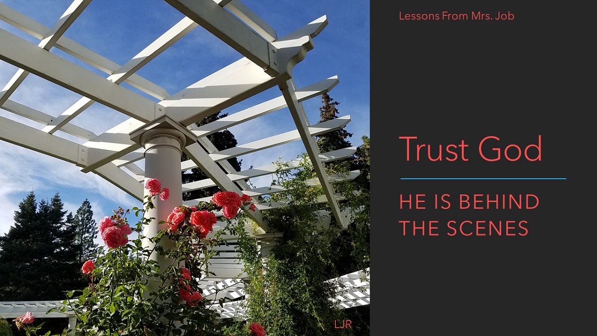 A CBM Christian Book Review - Linda Jo Reed